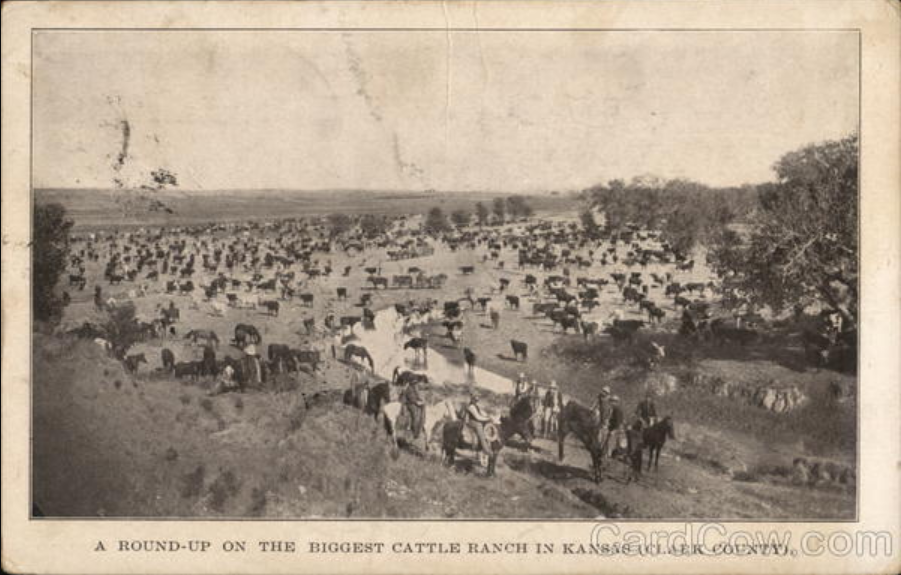 Chisholm Trail 1870 Cattle Drive Cowboys.PNG 8x10 Photo Print | eBay