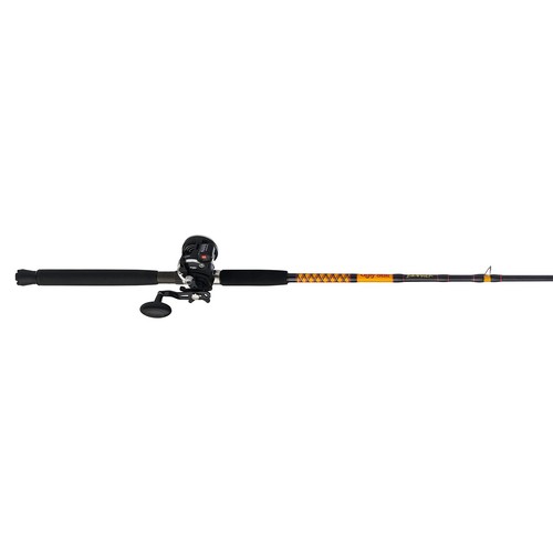 Bigwater Casting Fishing Rod & Penn Rival Level Wind Conventional Reel ...