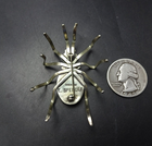 Evelyn Spencer NAVAJO Sterling Silver GREEN MALACHITE SPIDER Arachnid ...