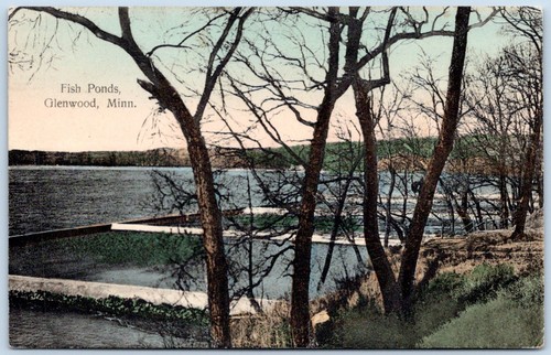 Postcard MN Glenwood Minnesota Fish Ponds Hatchery Lake Minnewaska MN05 ...