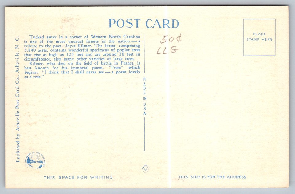c1950s Joyce Kilmer Memorial Forest Graham County Vintage Postcard | eBay