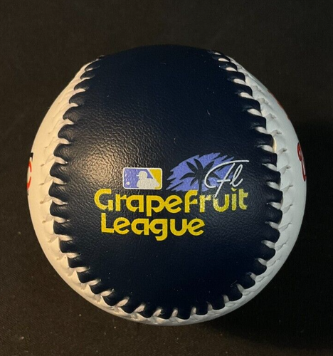 2022 Spring Training FL Grapefruit League Souvenir Collectible Baseball ...