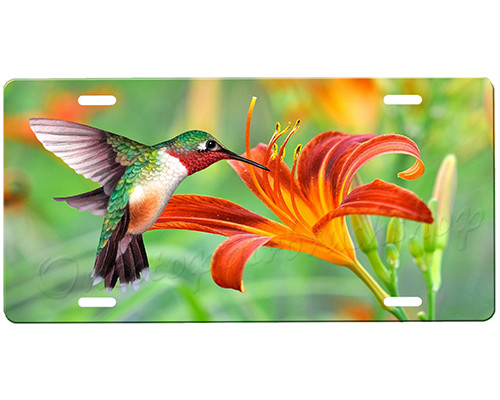 Hummingbird License Plate | eBay
