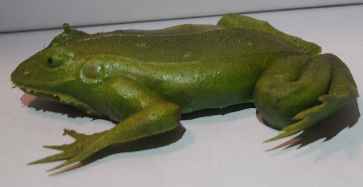 Vtg Rubber Jiggler Frog Toad Toy 1960s-1970s Hong Kong 3" Figure | eBay