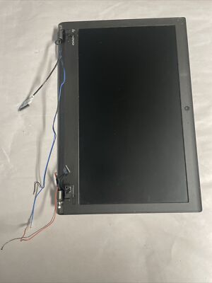 Lenovo ThinkPad X250 12.5” LCD Screen Panel Assembly Grade B @MB108 | eBay