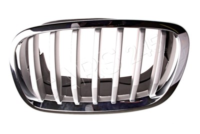 Genuine BMW X6 E71 Radiator Kidney Titanium Grille Left OEM 51137307599 ...