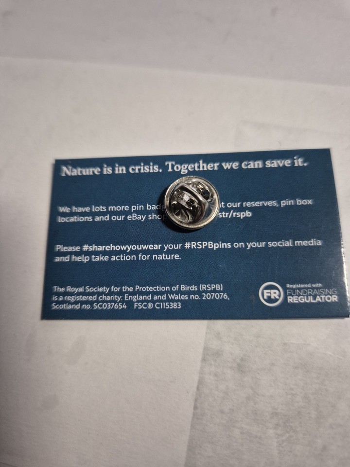 Rspb International Birdlife pin badge Eurasian Whimbrel | eBay UK