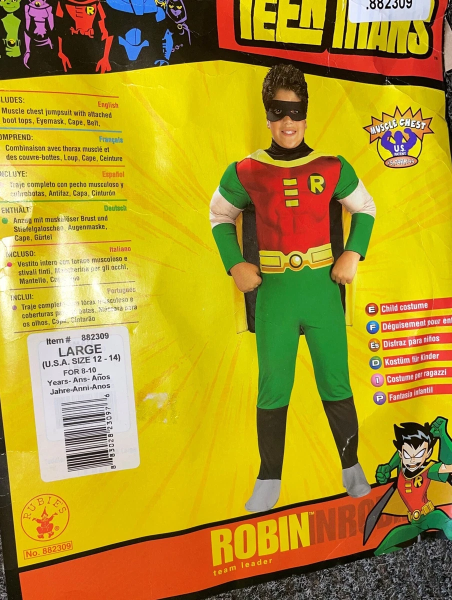 Teen Titans Robin Costume