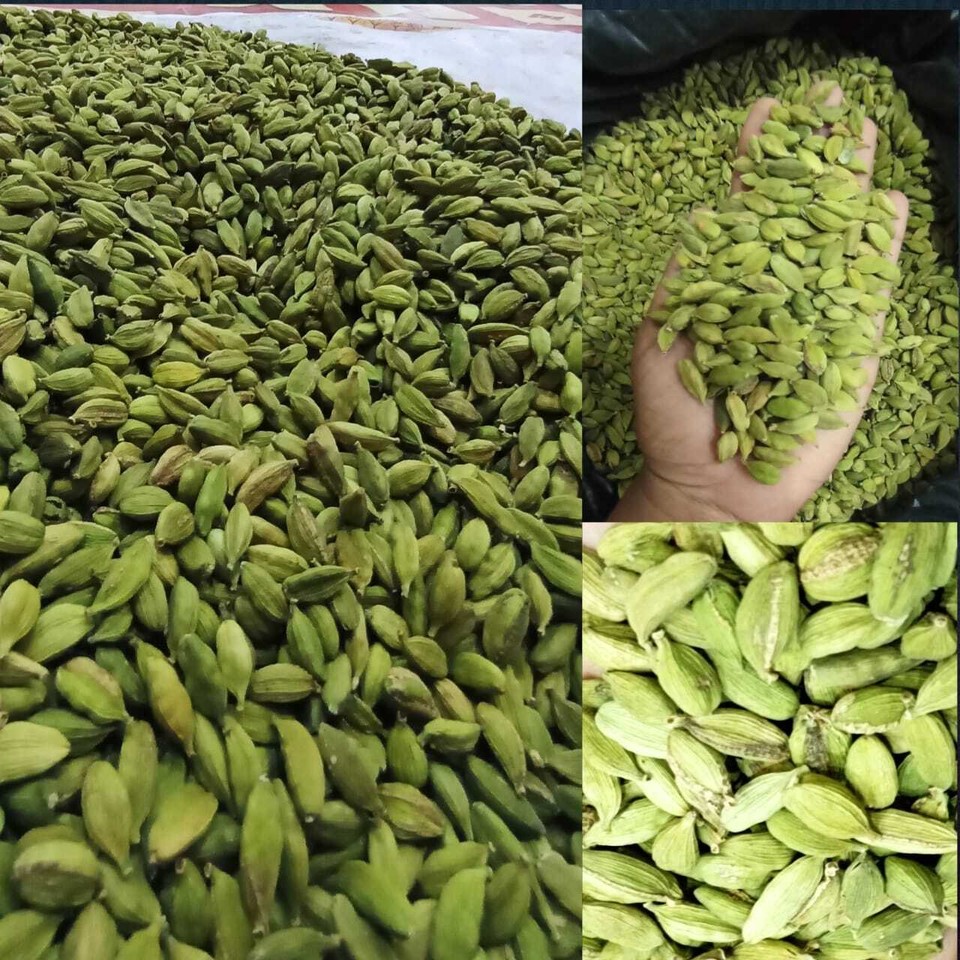 Dried True Cardamom Aromatic and Flavorful Organic Cardamon - Cardamum ...