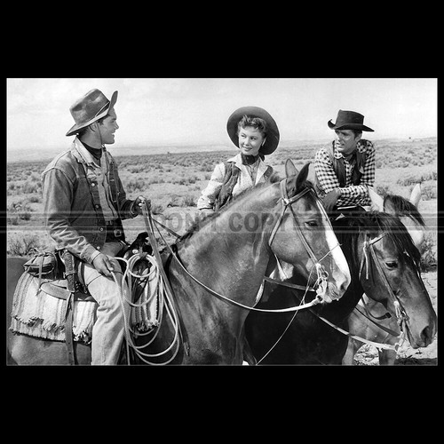 Photo F.015222 JEFFREY HUNTER KEEFE BRASSELLE MITZI GAYNOR (THREE YOUNG ...