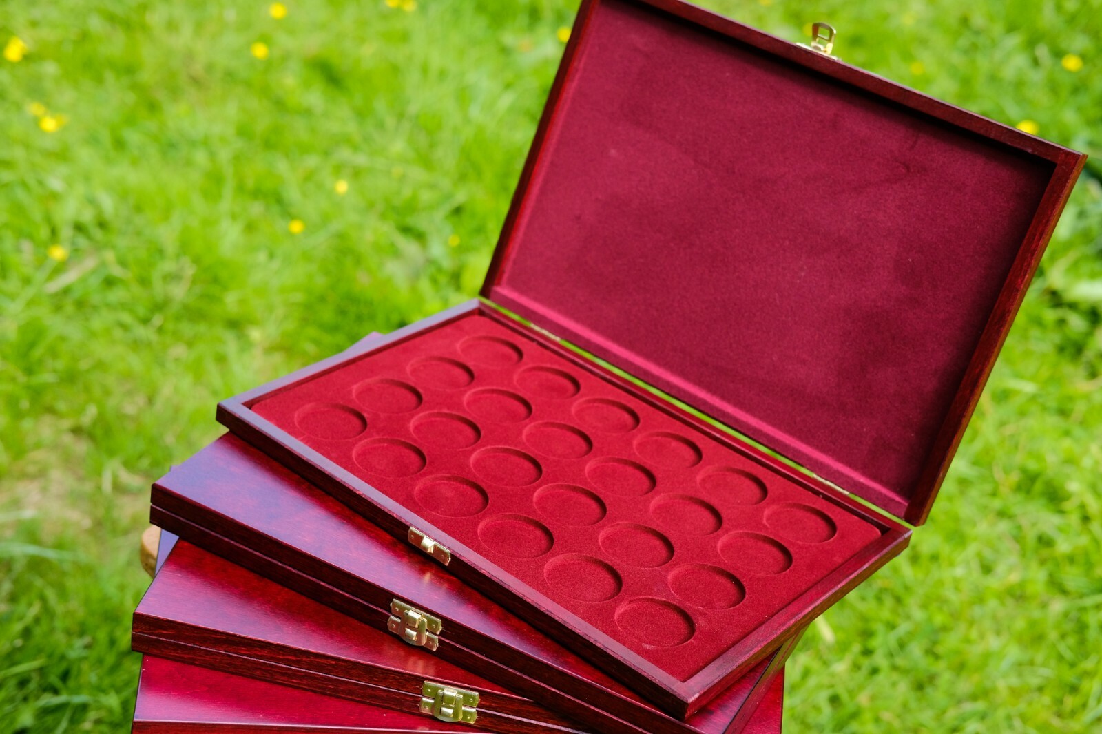 Luxury Wooden Coin Tray Cabinet Case, Collection Storage Display Box ...