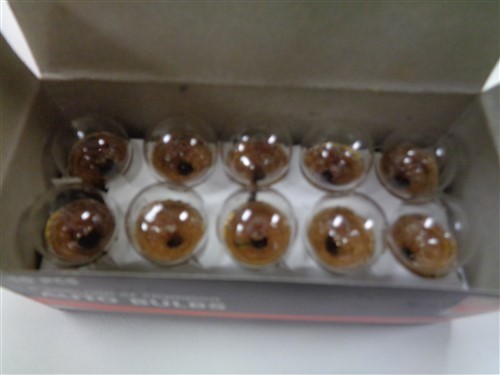 LUMIACTION AUTO LIGHT BULB EXTRA LONG LIFE 10 PER BOX 89 SET OF (4 ...
