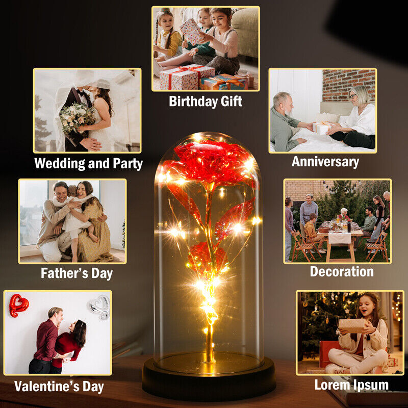 Eternal Forever Romantic Rose Flower In Glass Dome LED Light Mother's ...