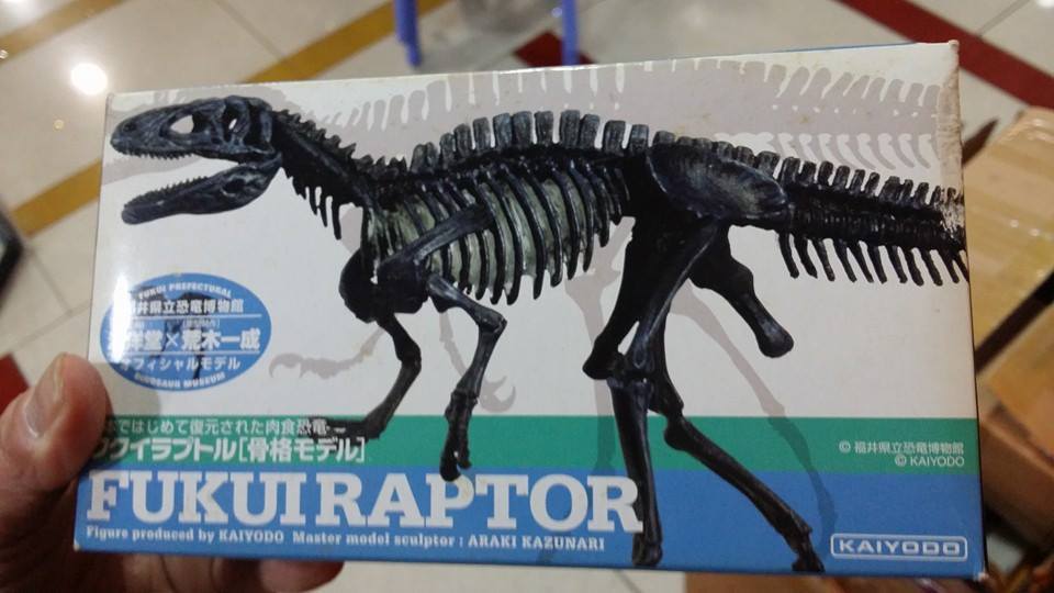 Fukuiraptor Skeleton I Know Dino Podcast: Fukuiraptor