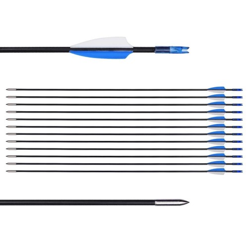 31" Training Arrows-Archery Practice Target Arrows for Kids Youth or ...
