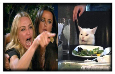 Magnet #557 Woman Yelling At A Cat Meme Taylor Armstrong RHOBH Smudge | eBay