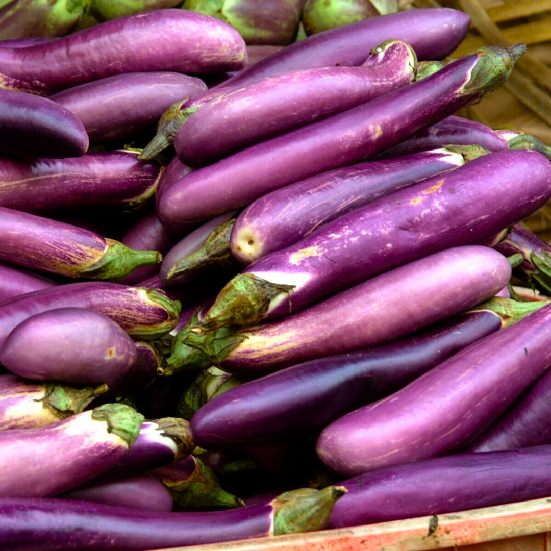 Fresh Chinese Eggplant Seeds | Ping Tung | Heirloom Non-GMO | Asian ...