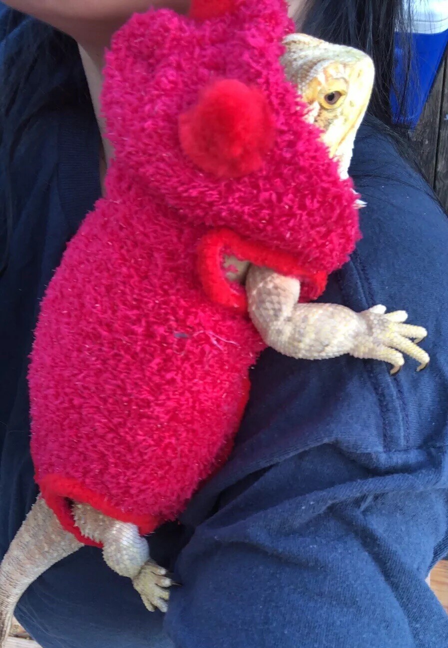 RED SOFT FUR SNUGGY #6 XLRG SLEEVELESS BODY SHIRT HOODY 4 UNISEX ...