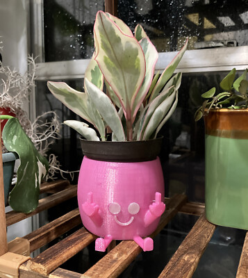 3D Printed Happy Middle Finger F*** You Planter - Custom Colors ...