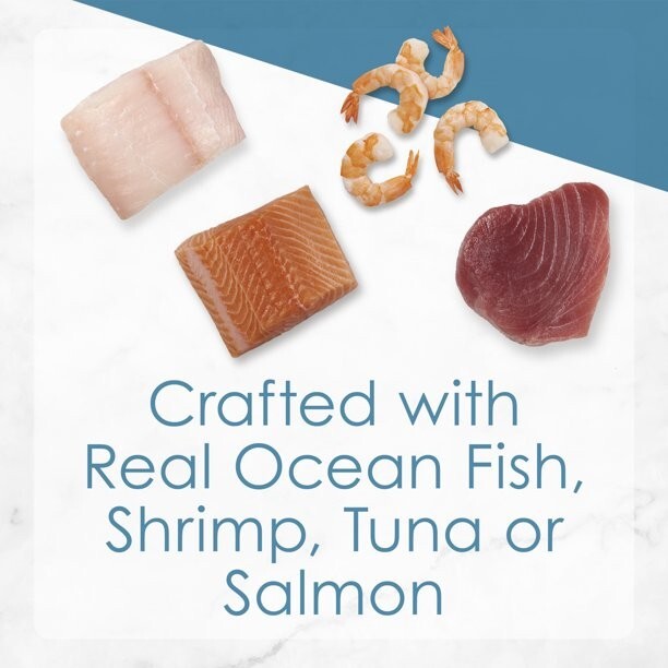 Fancy Feast Gravy Wet Cat Food Variety Pack Seafood Grilled Collection ...