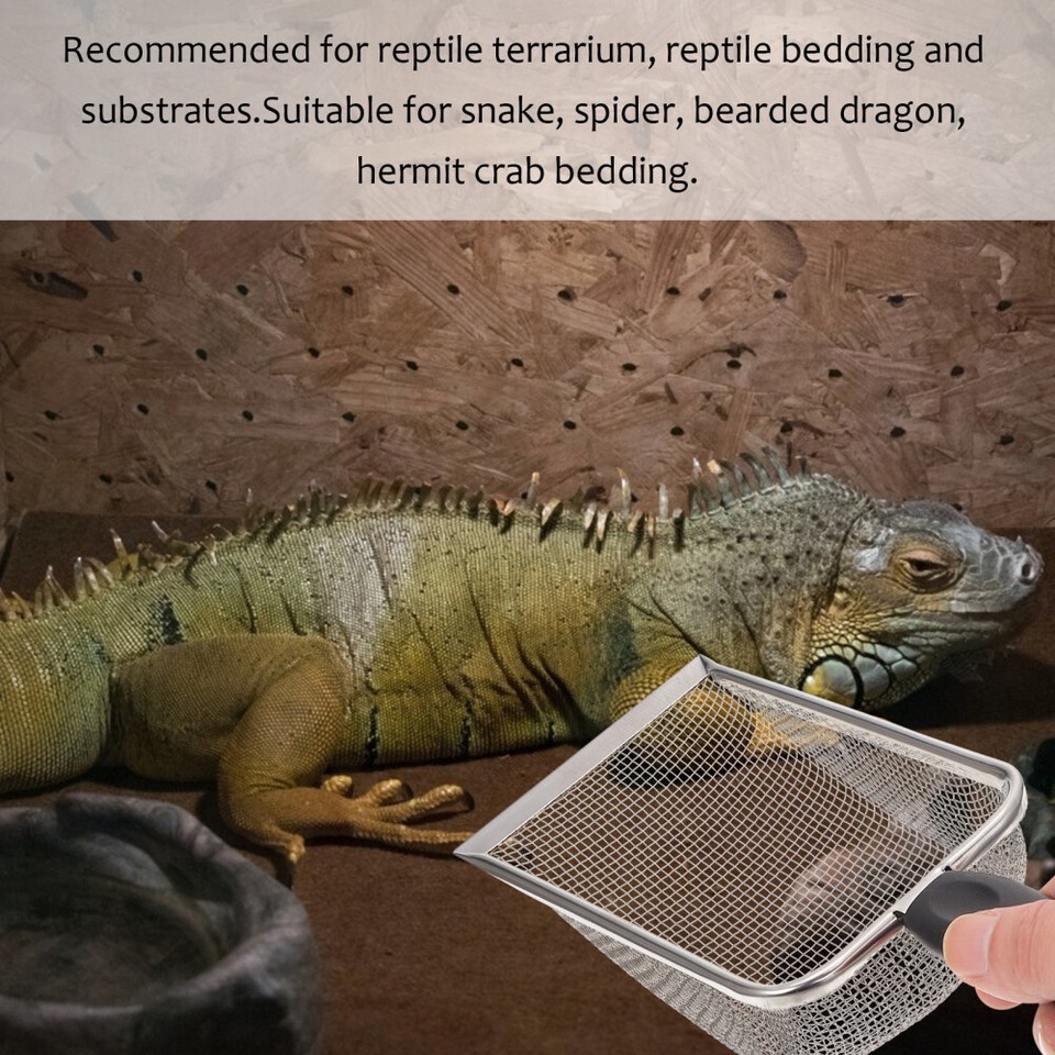 Reptile Scoop Cage Pet Cleaning Tools Litter and Dung Cleaner Travel | eBay