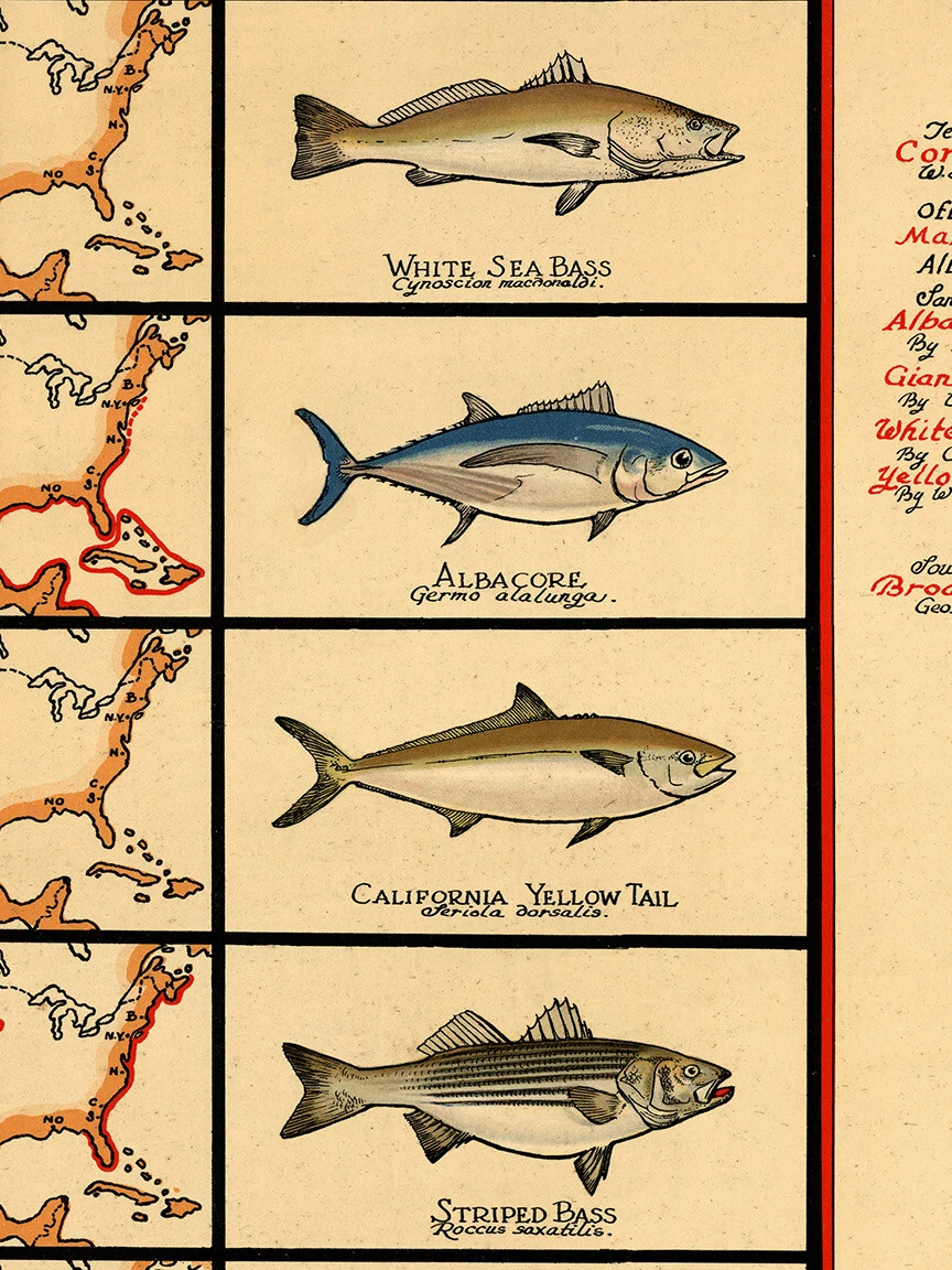 Types Of Saltwater Game Fish