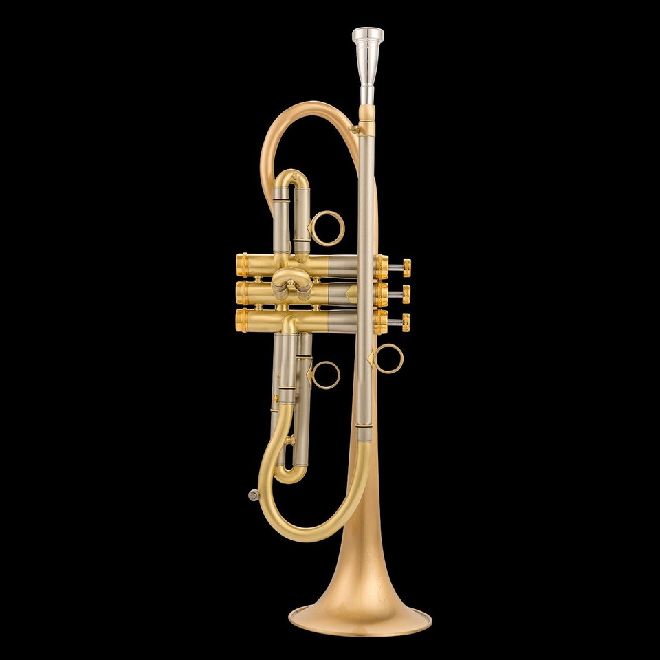Professional Trumpet Bb Brass Gold Plated Surface Instrument Gold ...