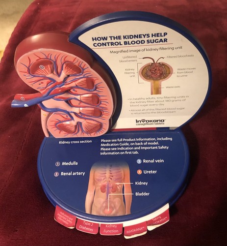 2013 Doctors Office Pharmaceutical Prop For Kidneys And Blood Sugar ...