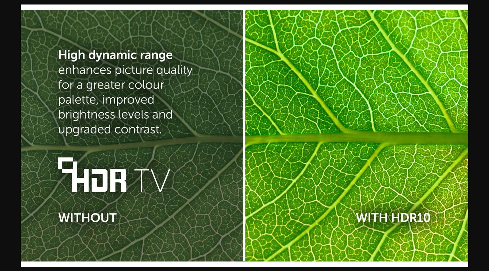 Bush 55 Inch DLED55UHDHDRSB Smart 4K UHD HDR LED Freeview TV COLLECTION ...