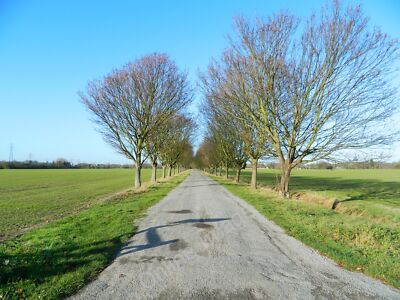 Photo 12x8 Biggin Abbey Lane Horningsea A lovely gravel road with trees ...