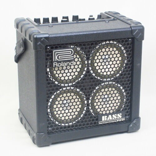 Roland Micro Cube Bass RX Portable Bass Amplifier with Effects ...