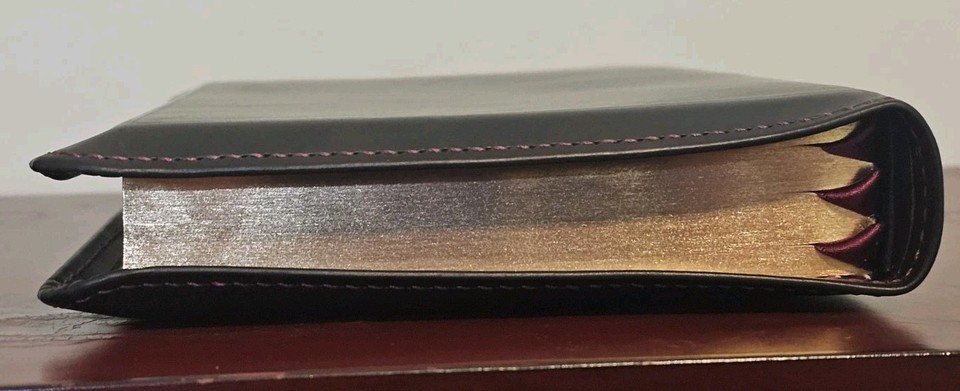 LSB Handy Size Verse-By-Verse Cowhide Premium Rebind By PTL Post ...