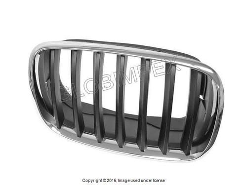 BMW E70 FRONT RIGHT Chrome Frame w/Black Grille GENUINE +WARRANTY | eBay
