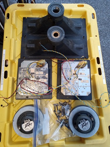 Peavey Parts Package 2-22A Drivers 2-CH3 Horns 2-115 Crossovers | eBay