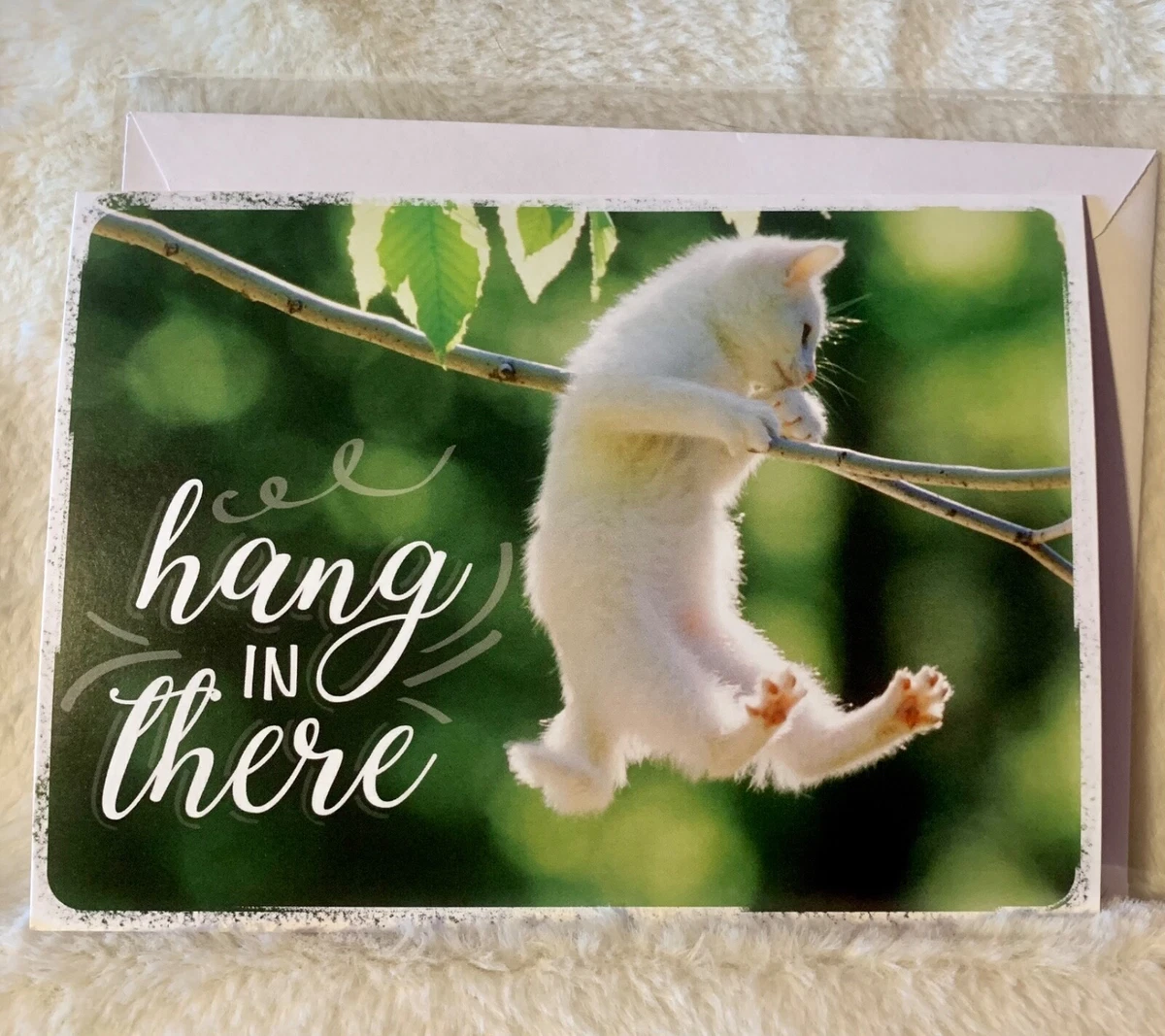 Hang In There Encouragement