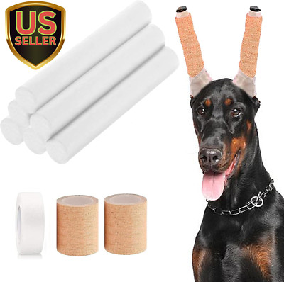 Doberman Dog Ear Posting Kit, Dog Ear Stand up Support Tool with Tape ...