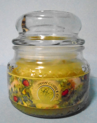 RARE Gold Canyon Candle Apple Orchard Pear’adise 8 Oz 2 Wick Jar Candle ...
