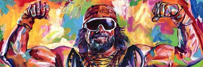 WWE GIANT 2’X6’ WIDE HEAVYWEIGHT VINYL WALL BANNER - MACHO MAN RANDY ...