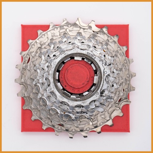 CAMPAGNOLO 13 25 RECORD TITANIUM 10 SPEED CASSETTE ROAD BIKE COGS ...
