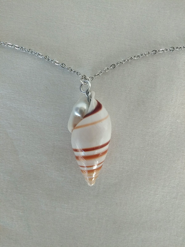 Real Seashell Pendant Necklace 18" Women's Boho Jewelry US Seller Gift ...