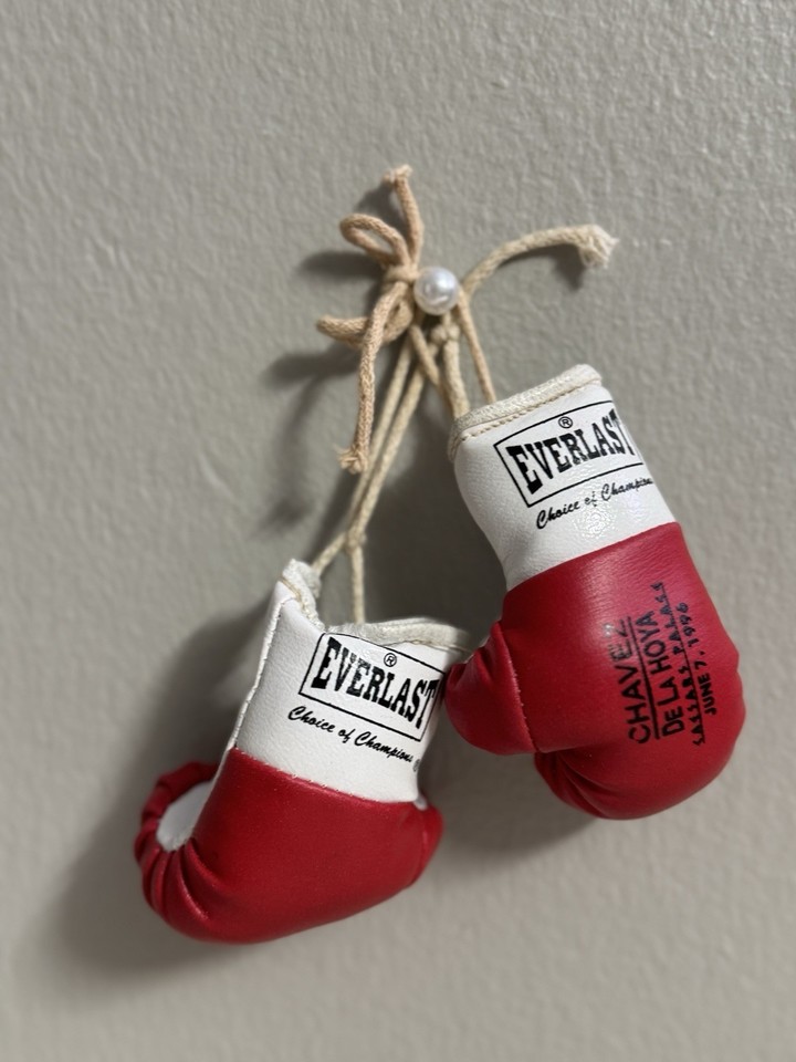 Everlast Mini Boxing Gloves souvenir Chavez vs De La Hoya June 7, 1996 ...