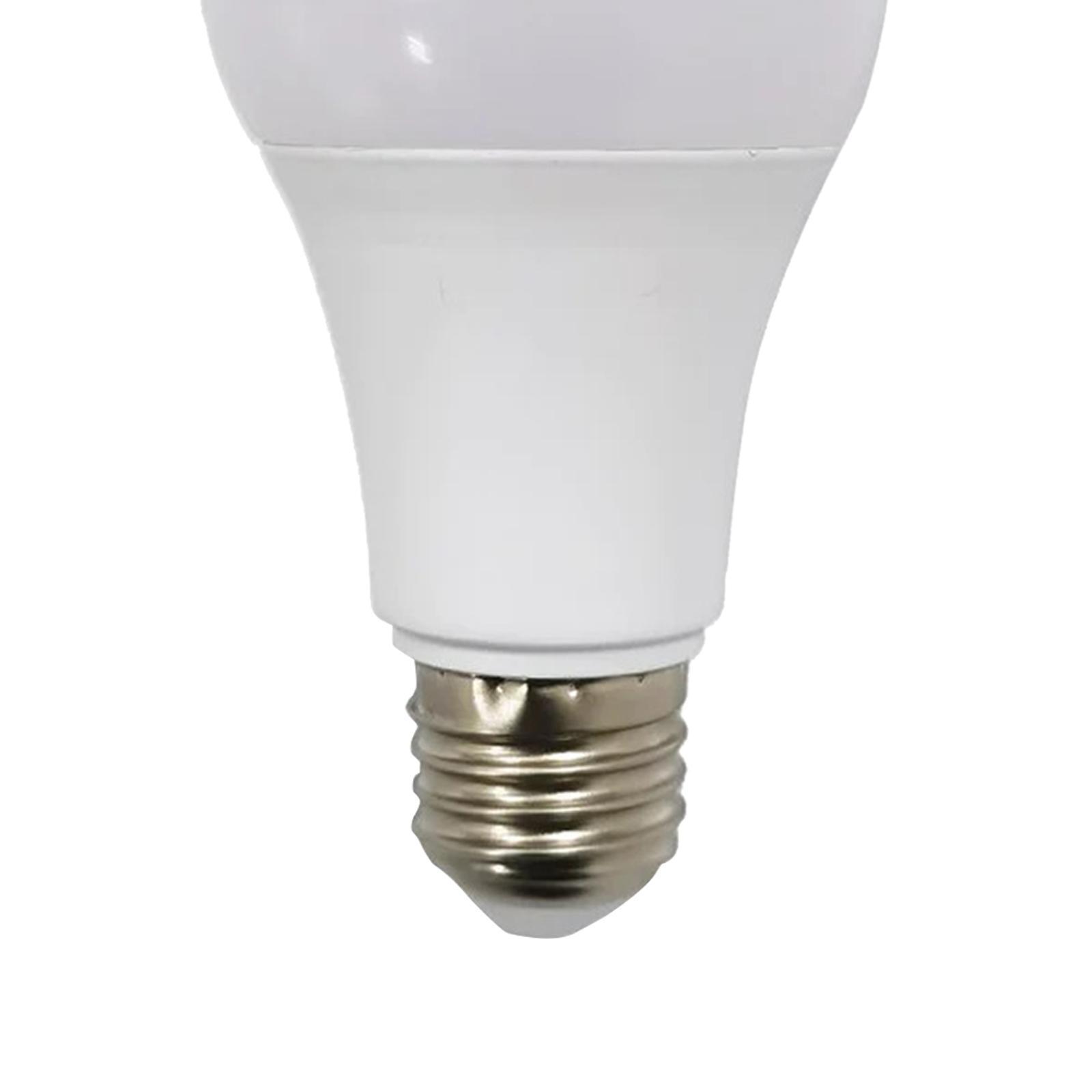 Light Bulb Diversion Hidden Compartment Storage Fake Light Bulb Safe ...