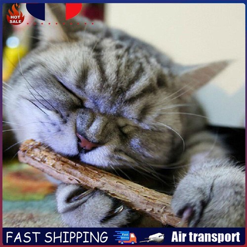 # 15/20pcs collations de fruits naturels Matatabi Cat Sticks cataire ...