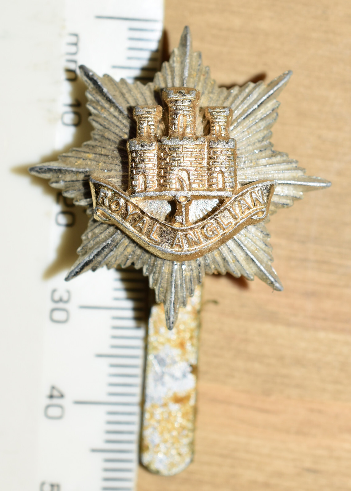 British army Royal Anglian Regiment cap badge, J R Gaunt | eBay UK