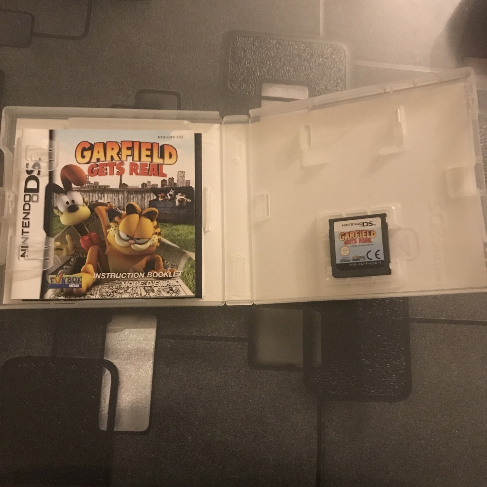 Garfield Gets Real For Nintendo DS Comme Neuf | eBay