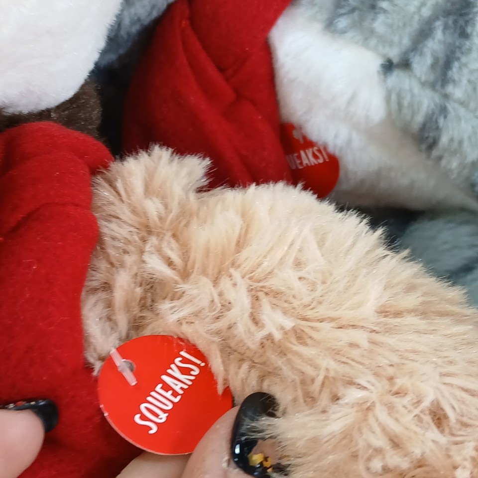 Lot of 2 PETSMART LUCKY CAT & CHANCE DOG Plush Squeaky Toy Stuffed ...