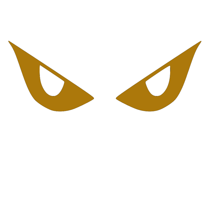 Angry Eyes Vinyl Decal Sticker Cars Motorcycles Motorbikes Motors ...