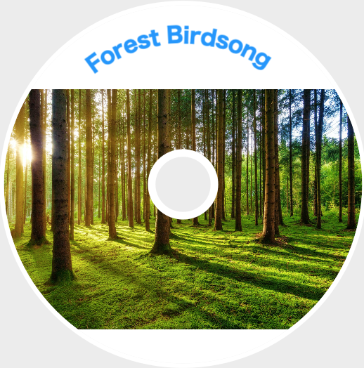 Spring Forest Bird Songs CD Relaxation Meditation Stress DEEP SLEEP ...