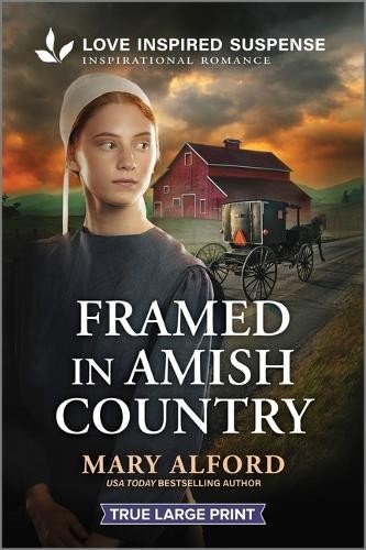Mary Alford Framed in Amish Country (Paperback) 9781335484222| eBay