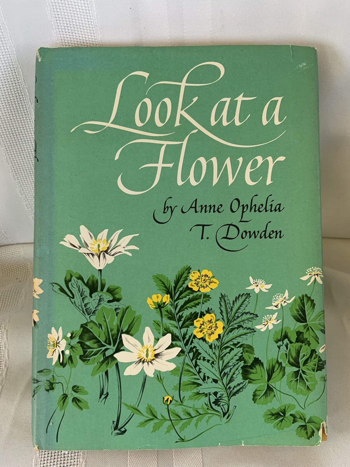 Look at a Flower by Anne Ophelia Todd Dowden (Hardcover) for sale ...